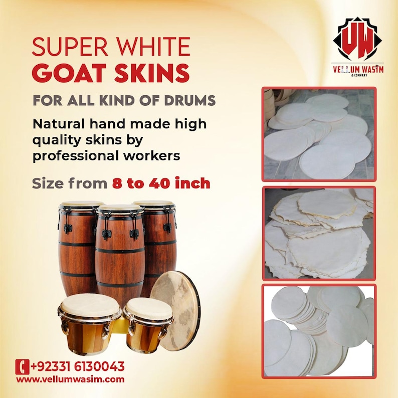 10-pieces Super White Goat Skins for Bodhrans /djembes /shaman Drums ...