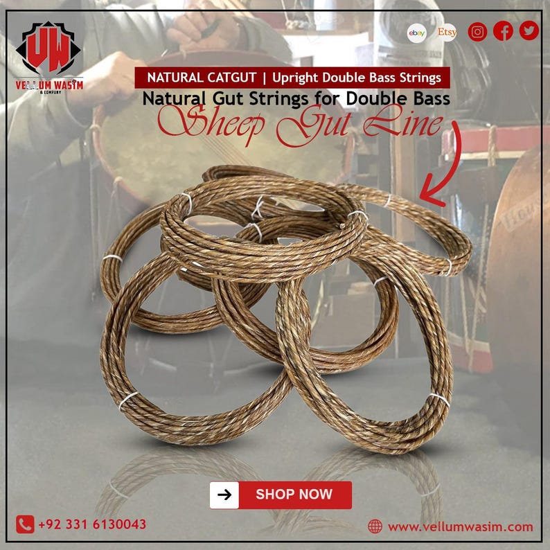 Natural Sheep Gut String: 21-foot Vintage Snare Drum, Upright Bass - Etsy
