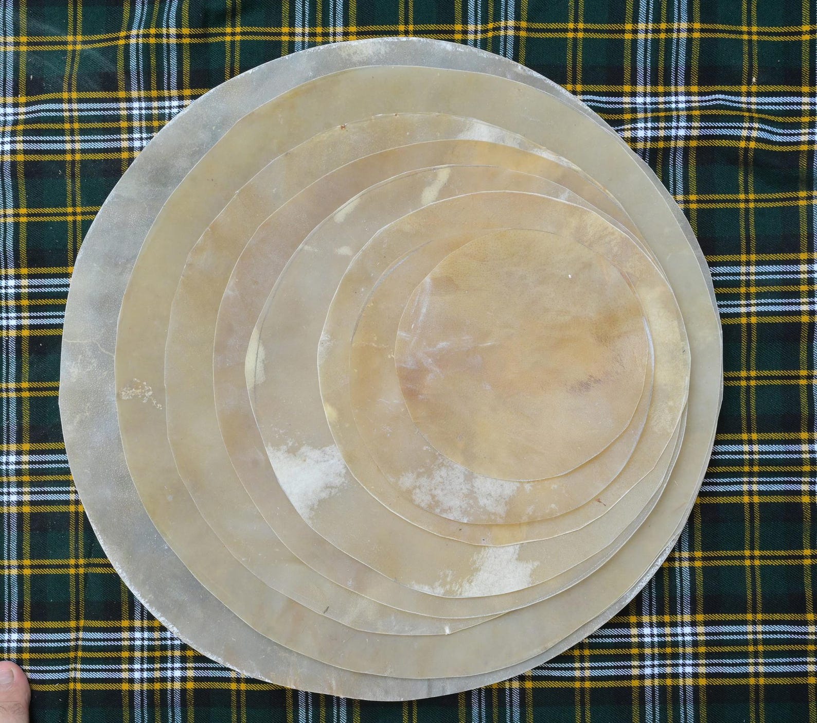 Natural Calf Skin Drum Head: 8-42 Inch Vellum - Etsy