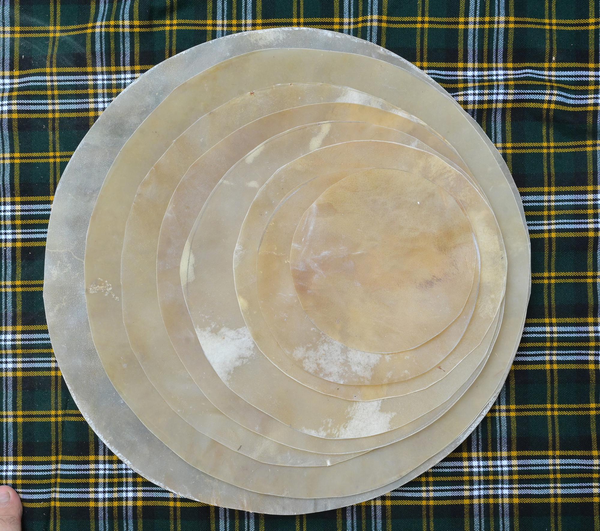 Natural Calf Skin Drum Heads - 10 Piece Set (8 to 42 Inch) - Etsy
