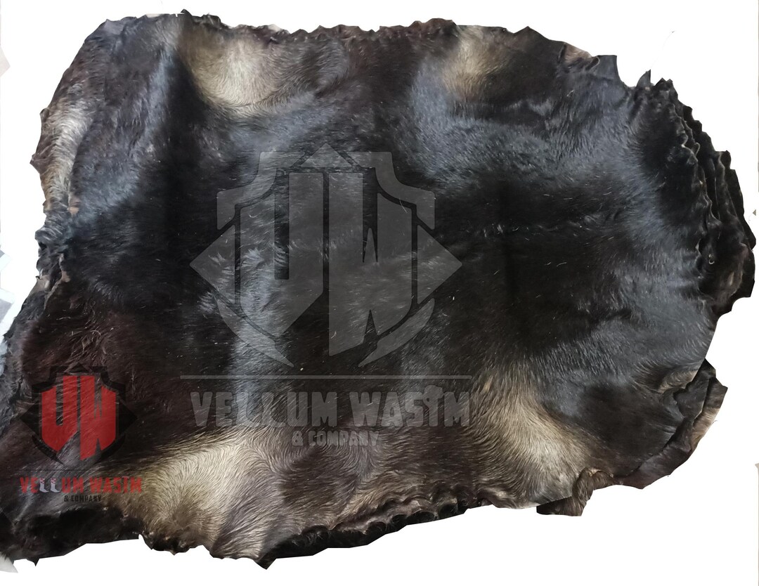 Black Hair Goat Skin: Drum Head Replacement (34-38-inch X 40-46 Inch ...