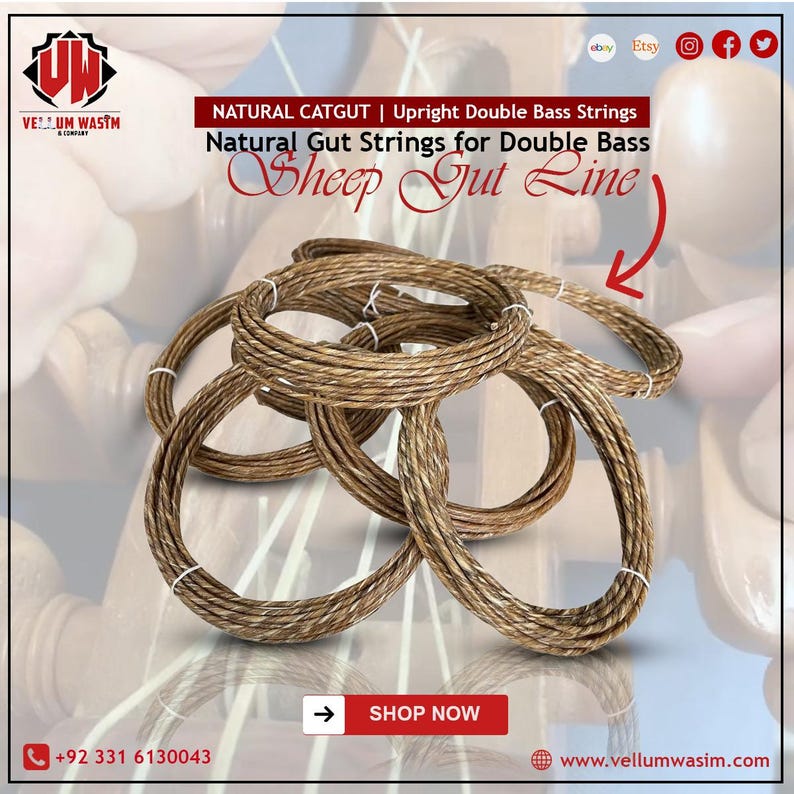 Natural Sheep Gut String: 21-foot Vintage Snare Drum, Upright Bass - Etsy