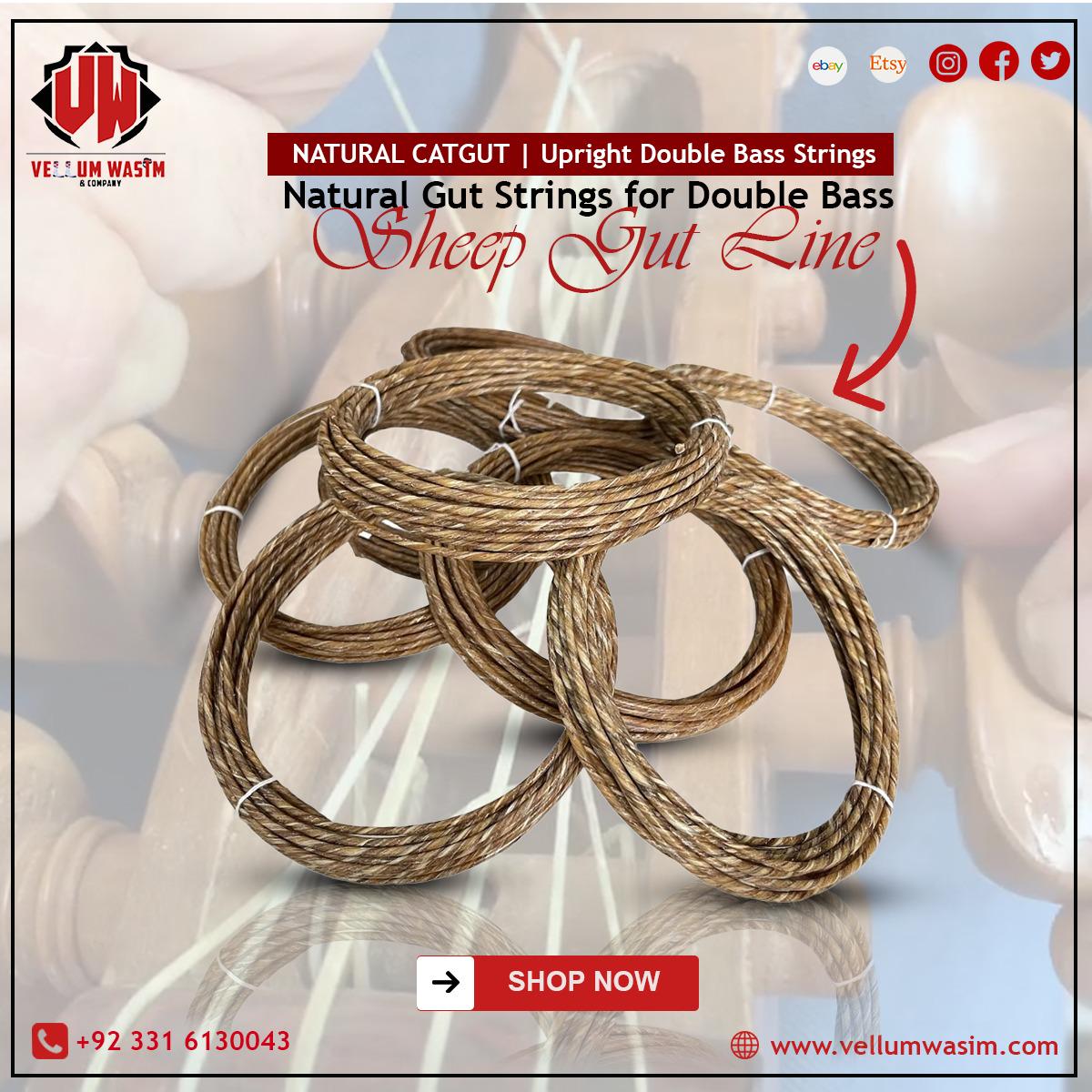 Natural Sheep Gut String: 21-foot Vintage Snare Drum, Upright Bass - Etsy