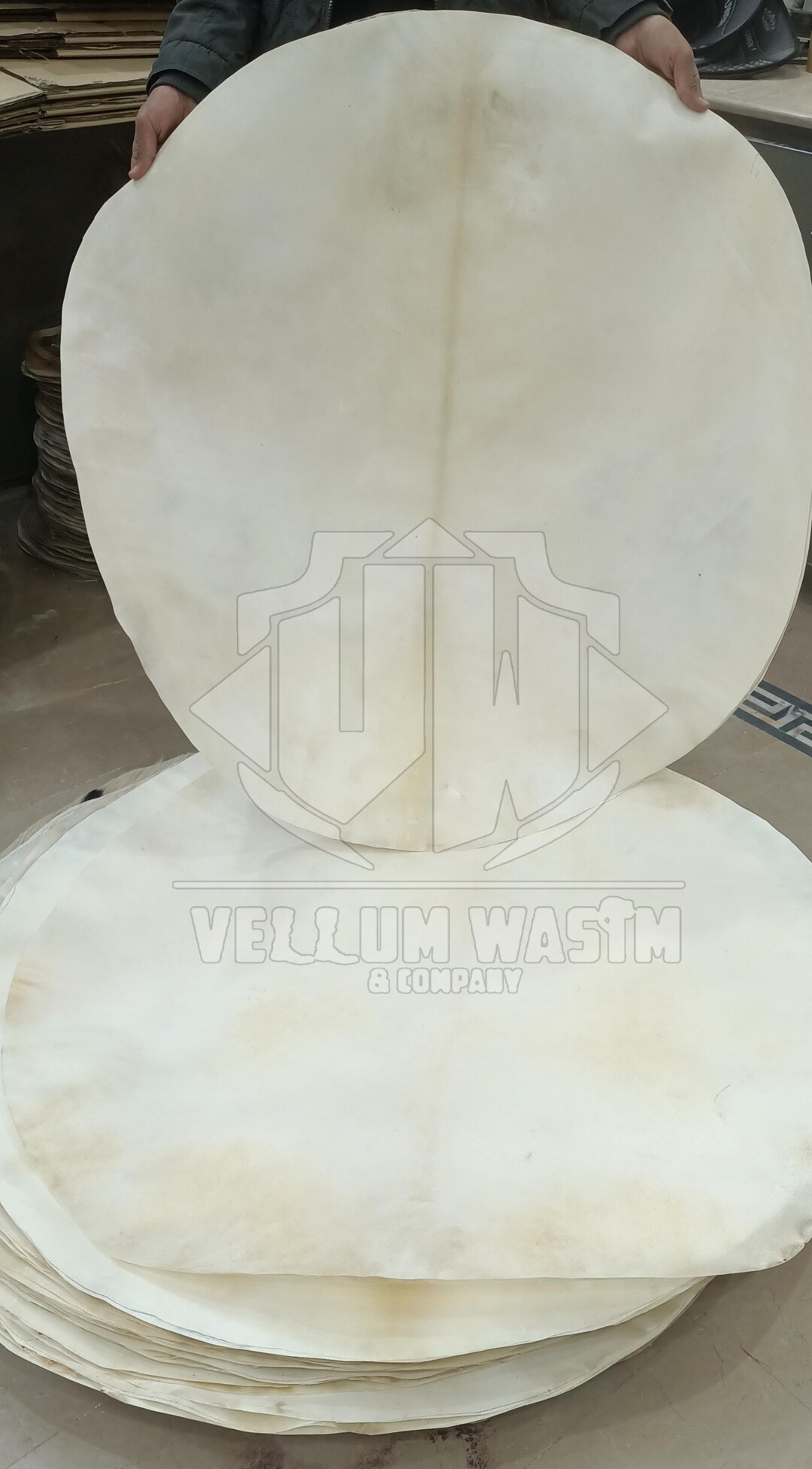 Natural Goat Skin for Shamanic Drum: Size From 36-40 Inch by ...