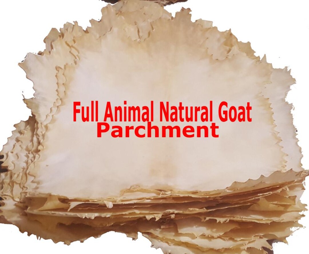 Natural Whole Goat Vellum Parchment for Furniture Calligraphy ...