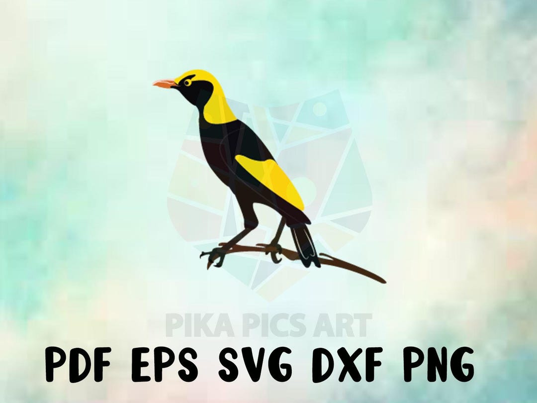 Regent Bowerbird SVG Vector Art Cut File | Vector Art Design | Cricut ...
