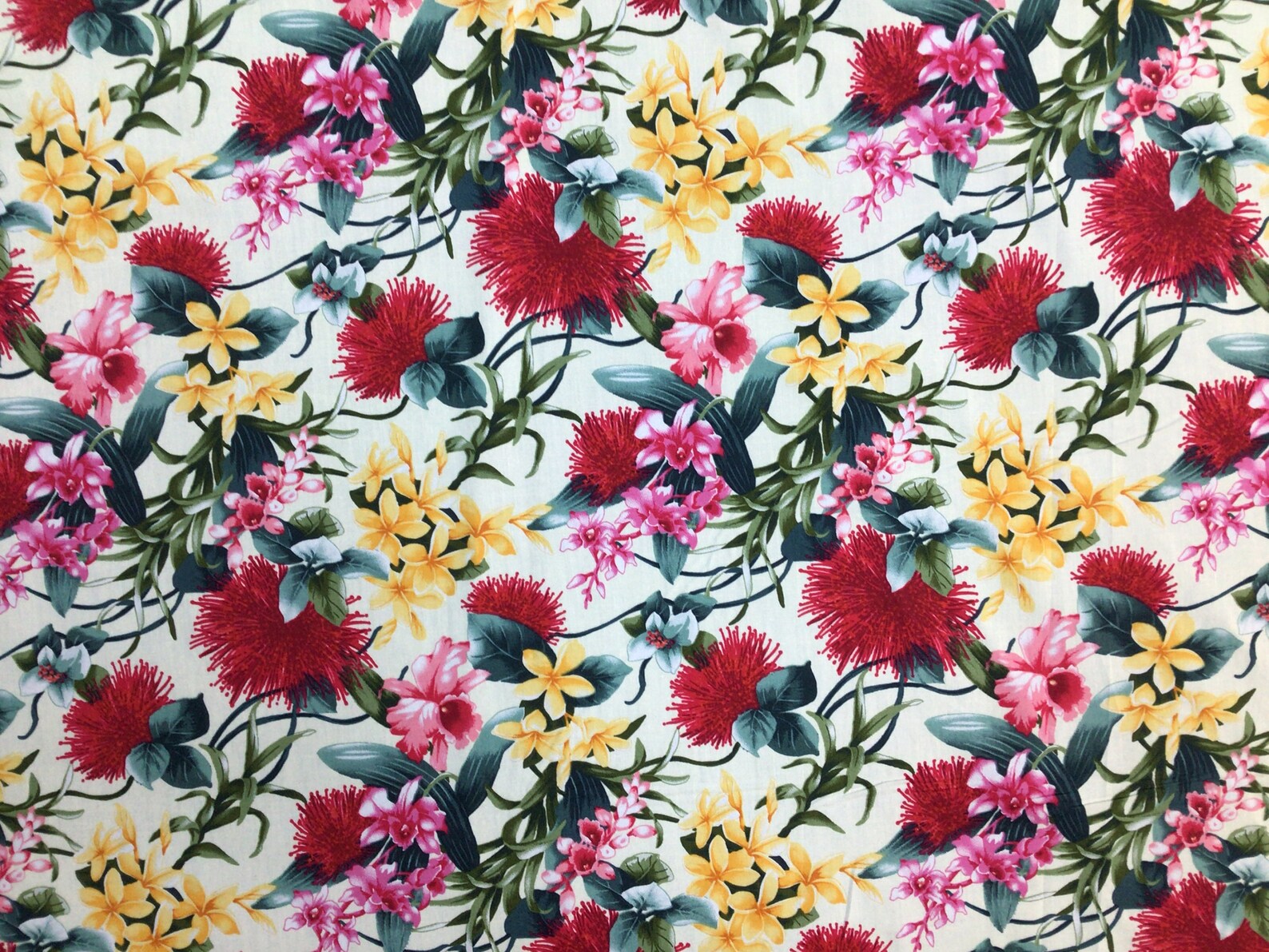 Red Lehua Hawaiian Print Cotton Fabric in Creme Background (yardage ...
