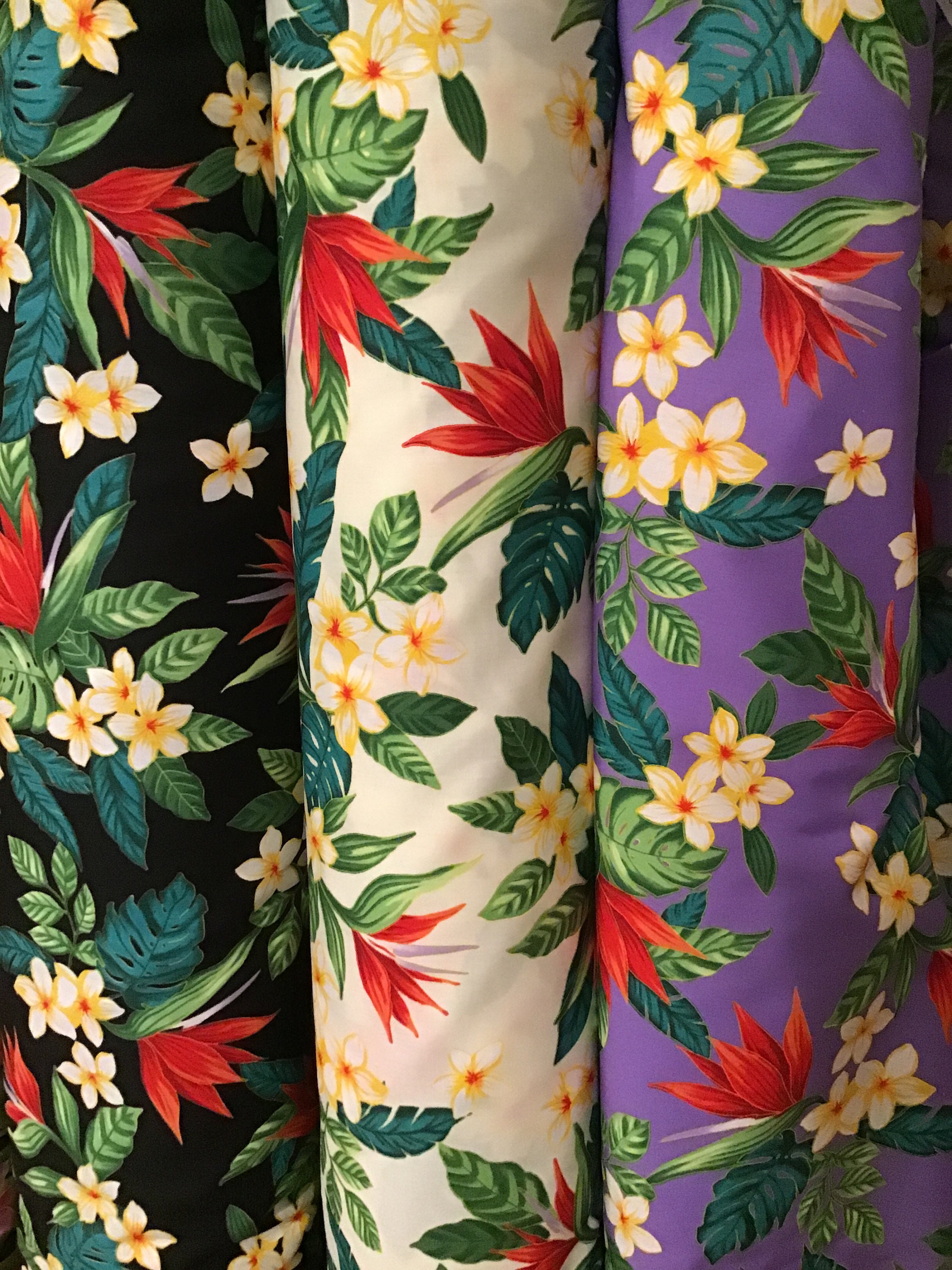 Creme Background Tropical Bird of Paradise and Plumerias Hawaiian Print ...