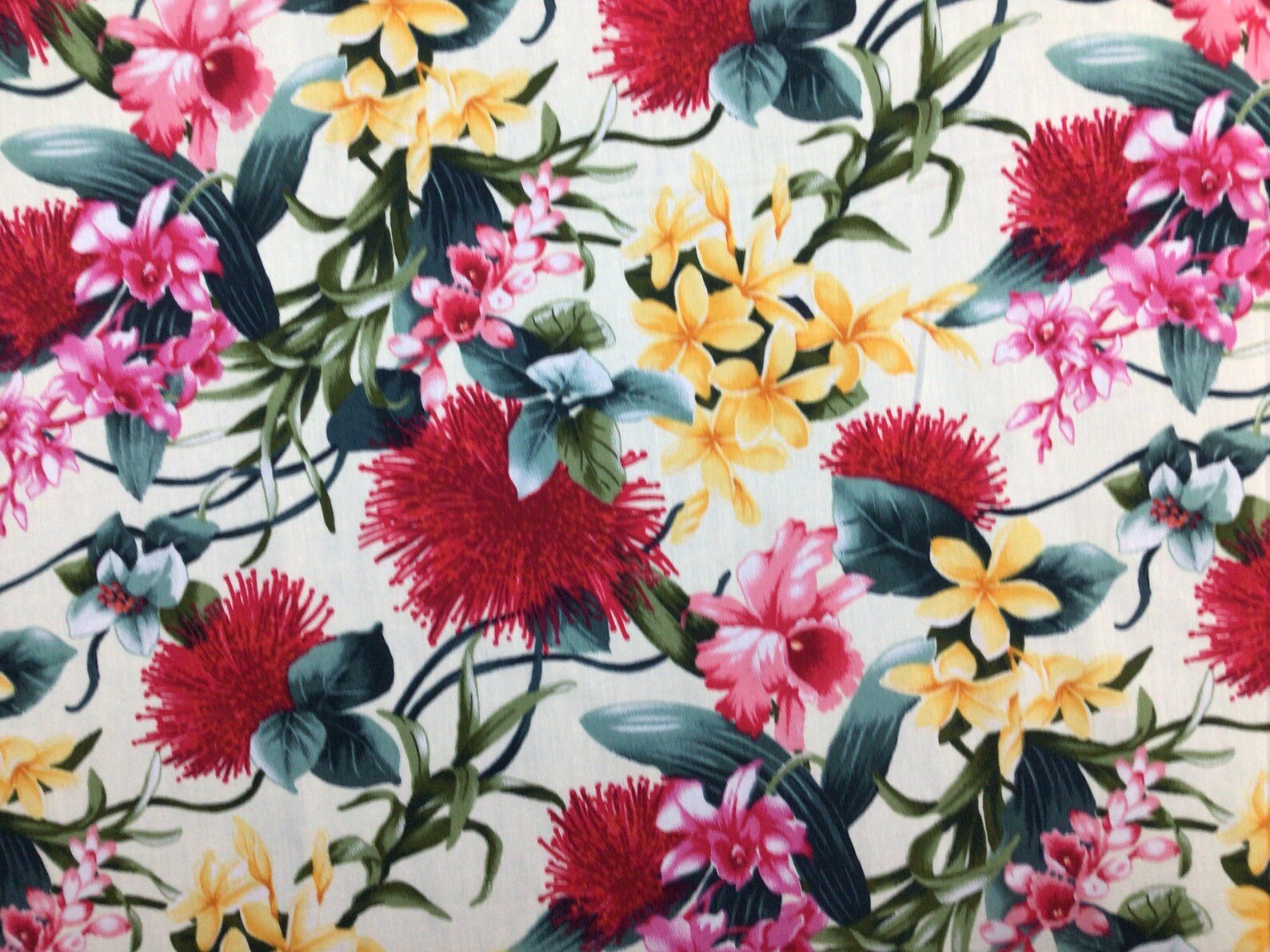 Red Lehua Hawaiian Print Cotton Fabric in Creme Background (yardage ...