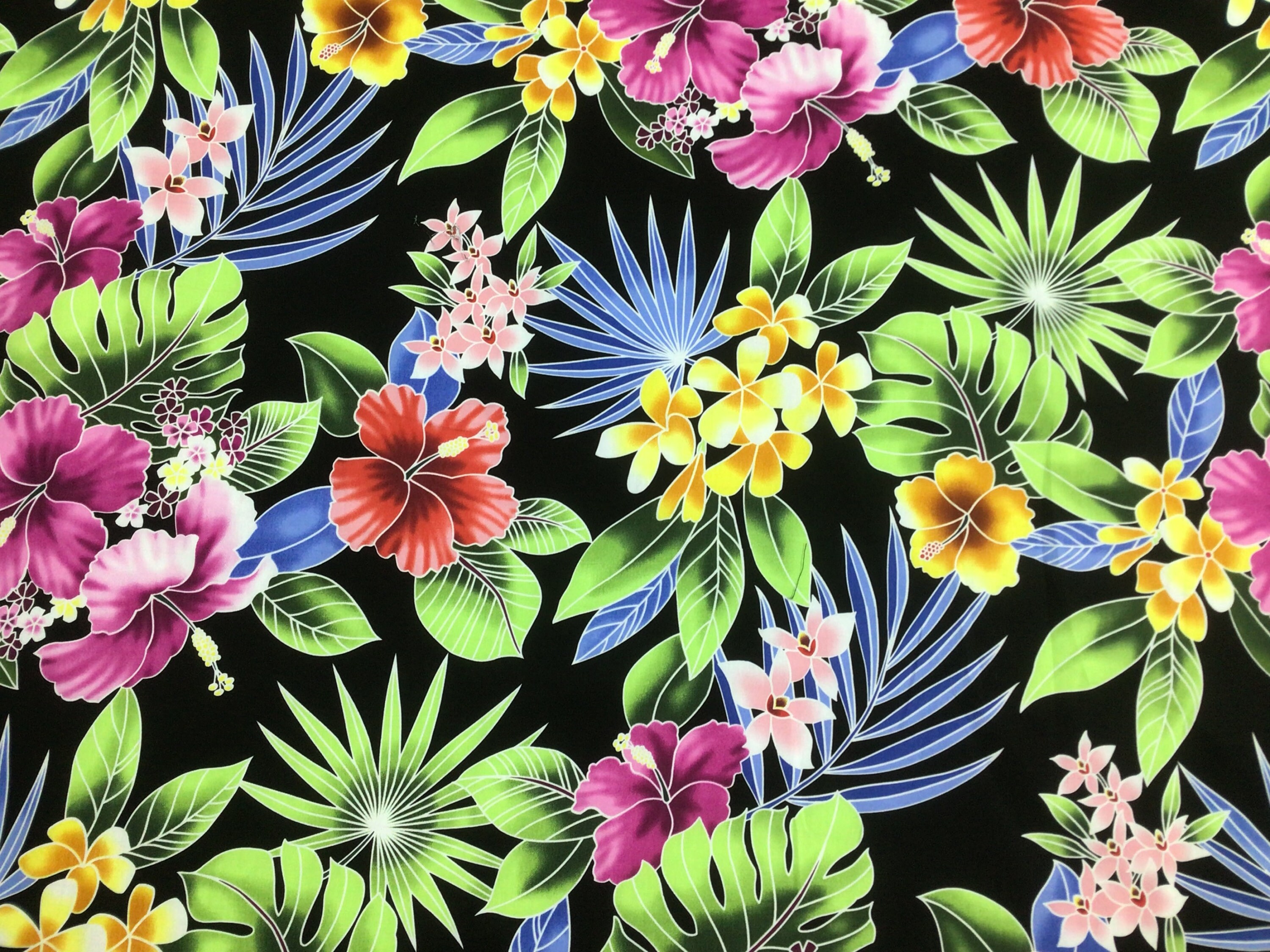 Tropical Print Tumblr