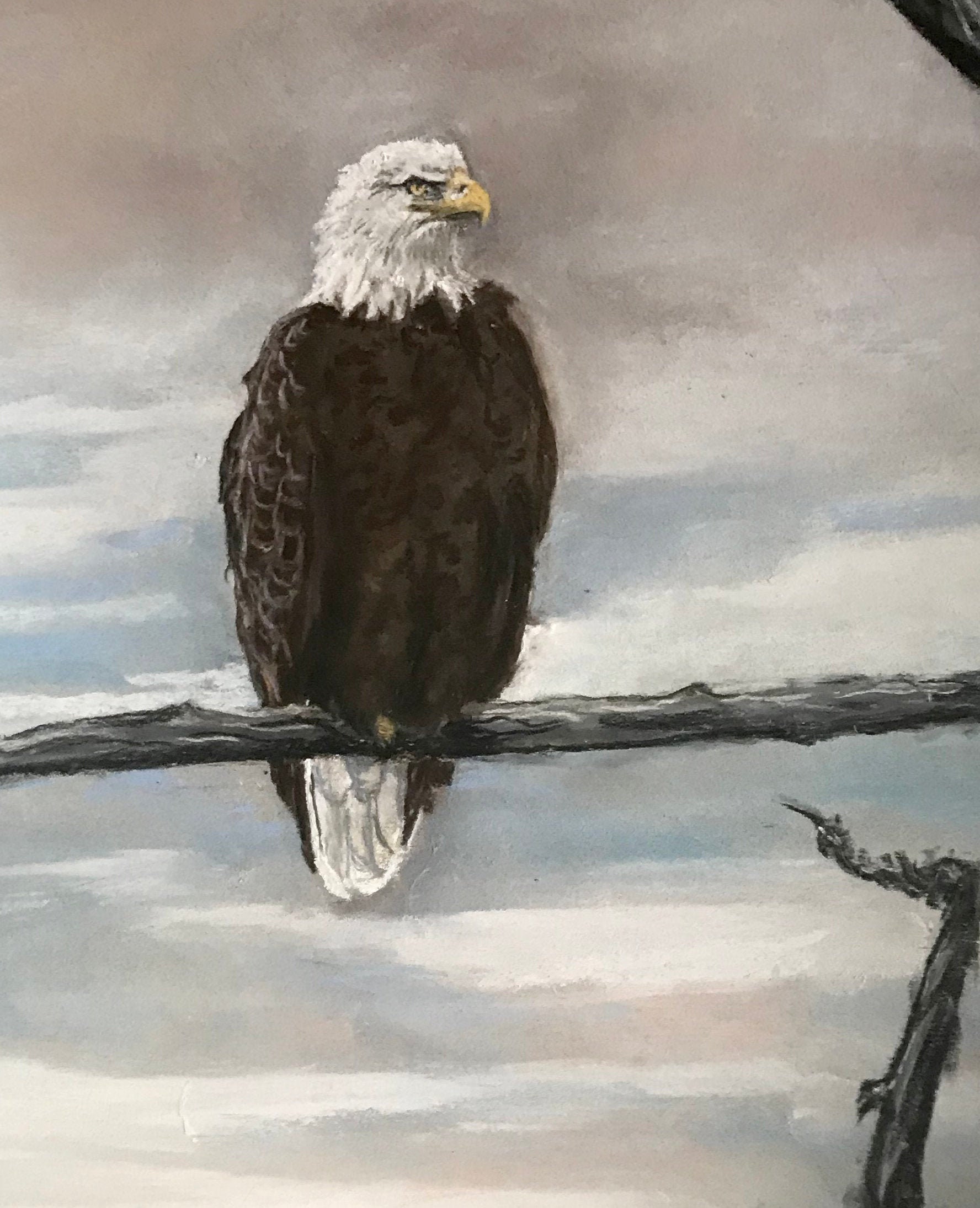 Bald Eagle Pastel Painting, Matted and Framed 11 X 14 - Etsy