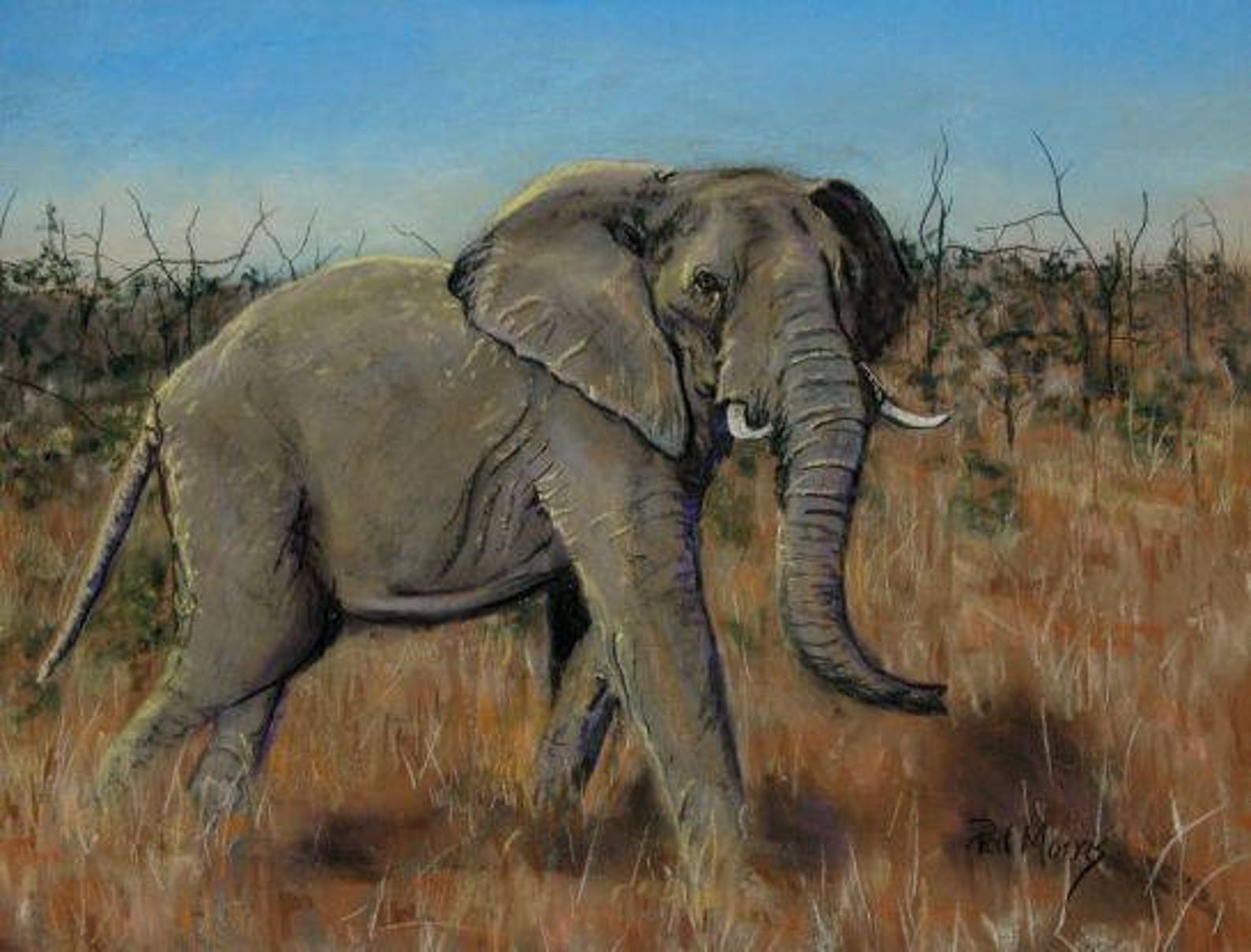Elephant Pastel Painting, "trumpet", Matted and Framed 24" X 18" - Etsy