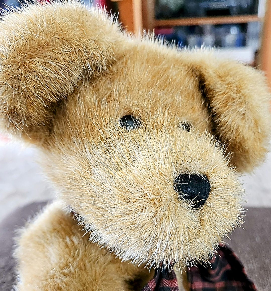 14" BRAXTON B. BEAR Plush Bear by Boyds Collection - Etsy