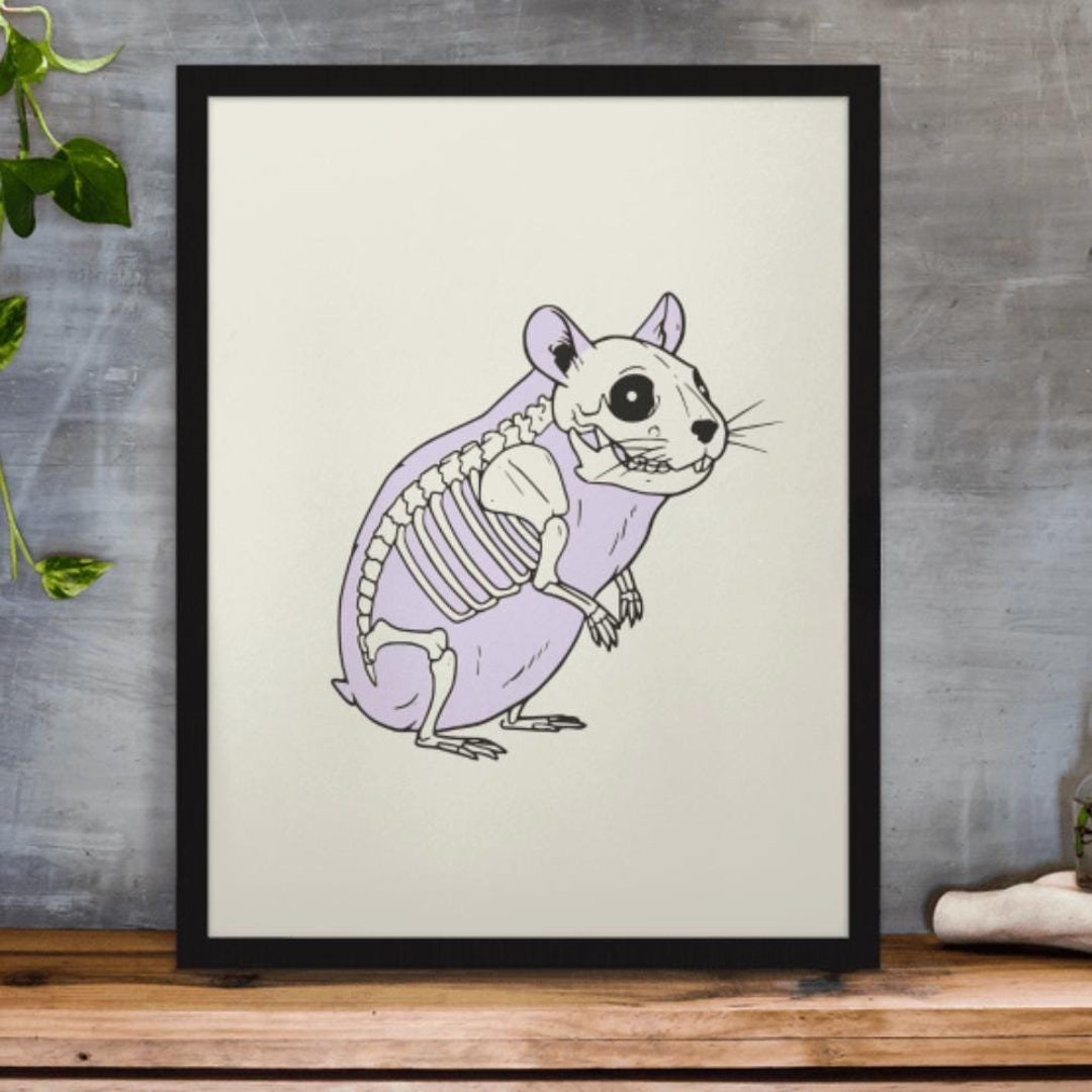 The Anatomy of the Best Friend - Hamster - Etsy