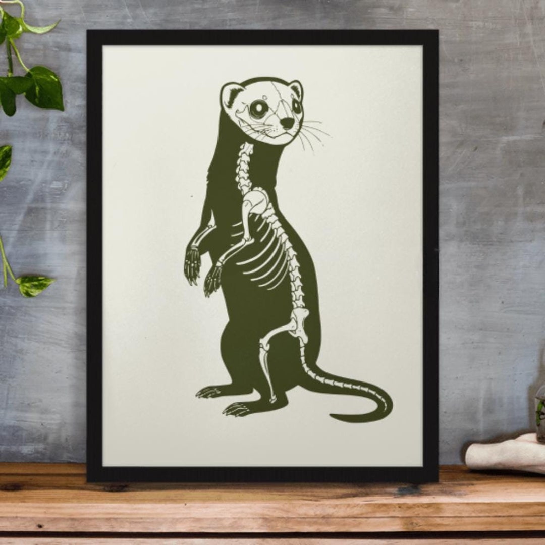 The Anatomy of the Best Friend - Ferret - Etsy
