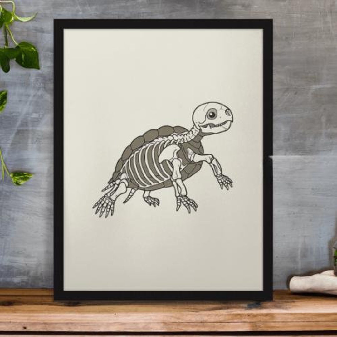 The Anatomy of the Best Friend - Turtle - Etsy