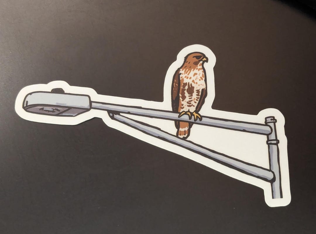 Hawk on Light Pole Sticker – Urban Wildlife Vinyl Decal - Etsy