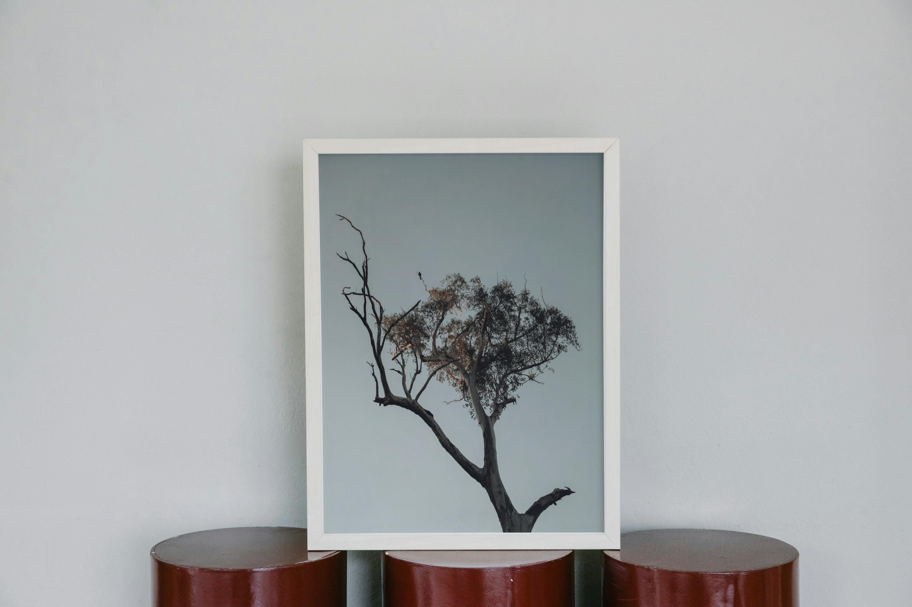 Tree Print, Photography, Digital Print, Nature Artwork - Etsy Australia