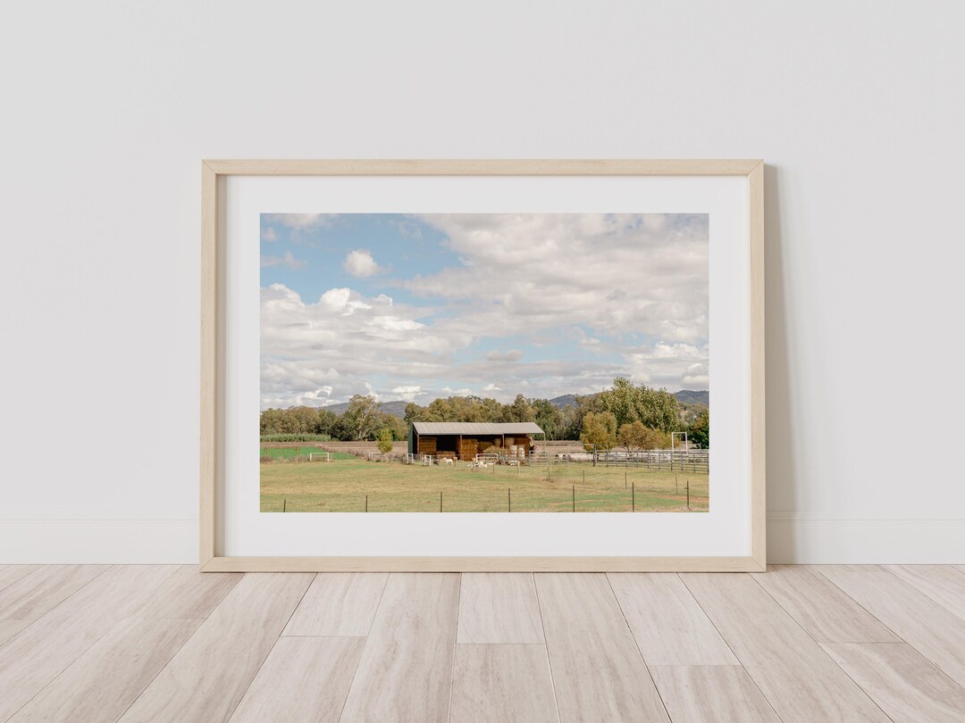 Cottagecore Countryside Bliss | Rural Landscape With Barn and Grazing ...