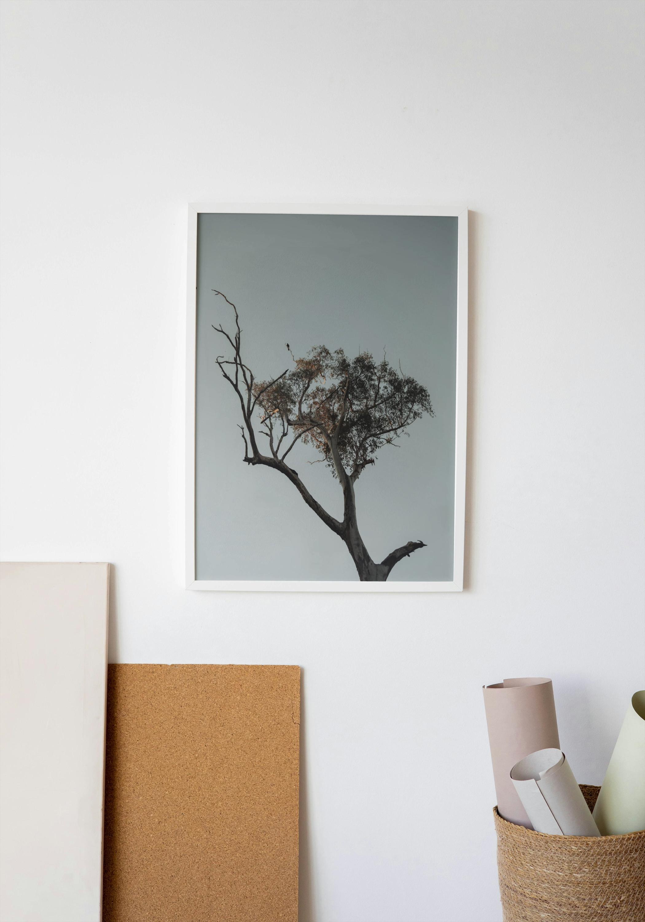 Tree Print, Photography, Digital Print, Nature Artwork - Etsy Australia
