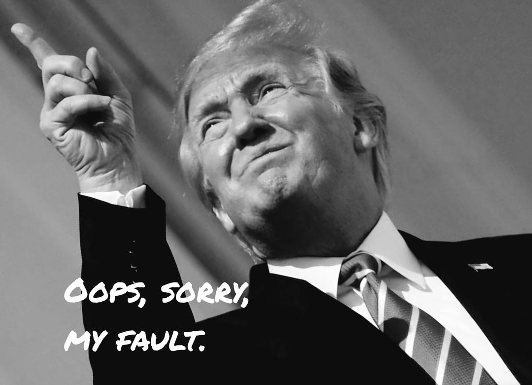Oops, Sorry, My Fault (sticker Sheet) - Etsy