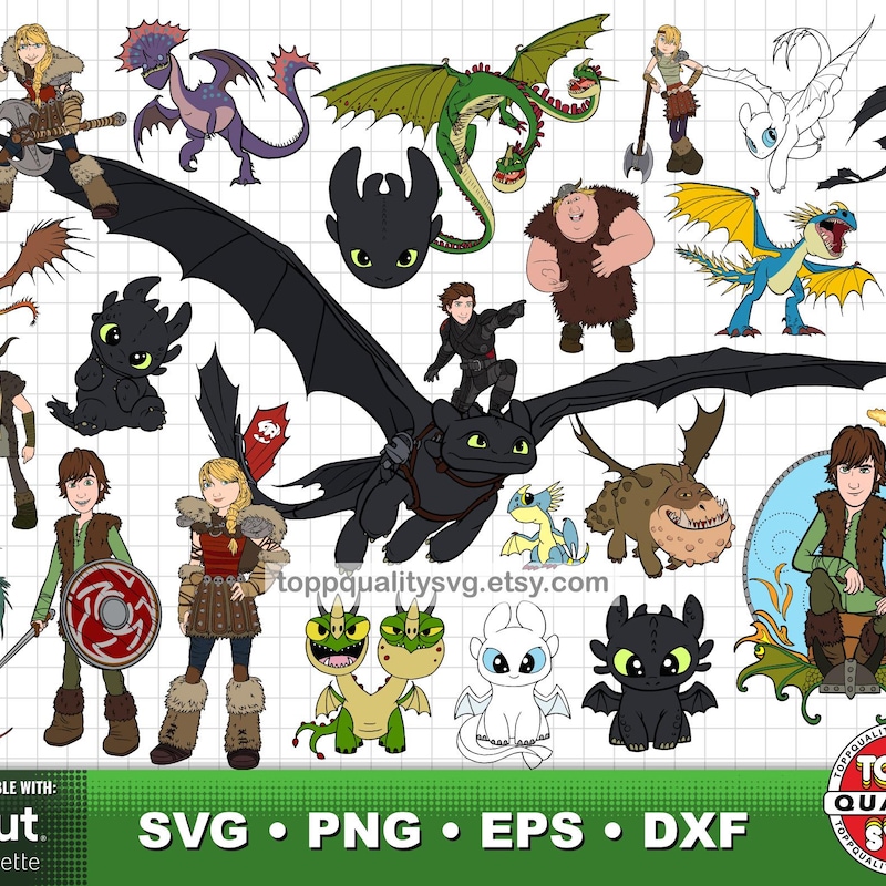 Water Bottle Toothless - Etsy