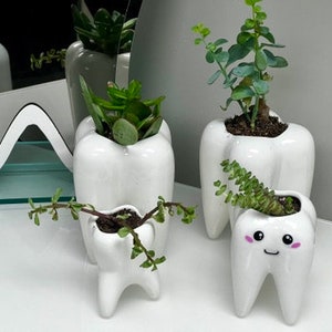 Tooth Vase Dental Desk Decor Dental Vase Tooth Planter Molar Tooth ...