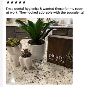 Tooth Vase Dental Desk Decor Dental Vase Tooth Planter Molar Tooth ...