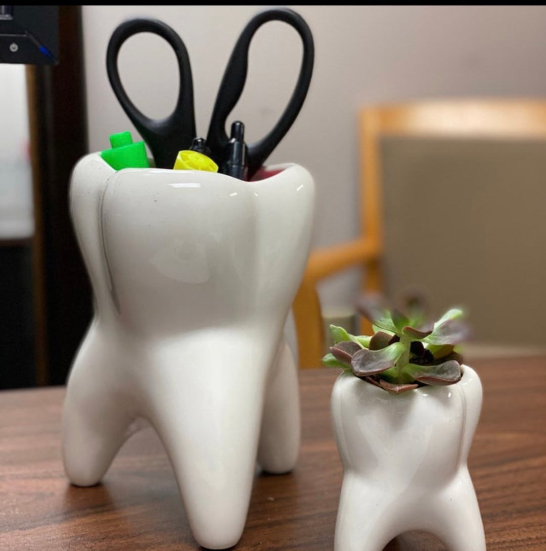 Molar Succulent Planter: Dental Office Decor, Dentist Gift - Etsy