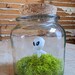 Miniature Alien Terrarium by Sbmathieu - Etsy