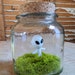 Miniature Alien Terrarium by Sbmathieu - Etsy