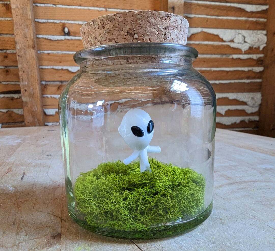 Miniature Alien Terrarium by Sbmathieu - Etsy