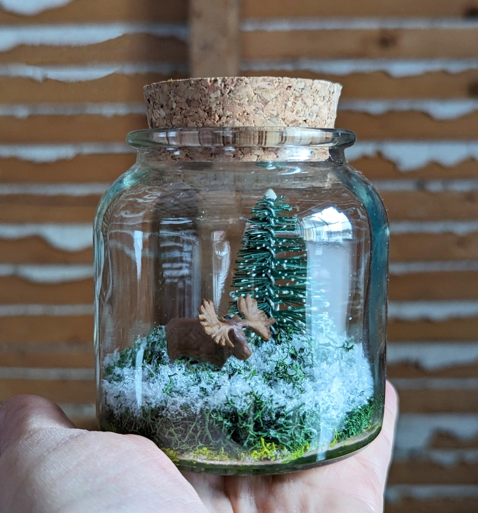Miniature Moose Terrarium by Sbmathieu - Etsy