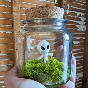 Miniature Alien Terrarium by Sbmathieu - Etsy
