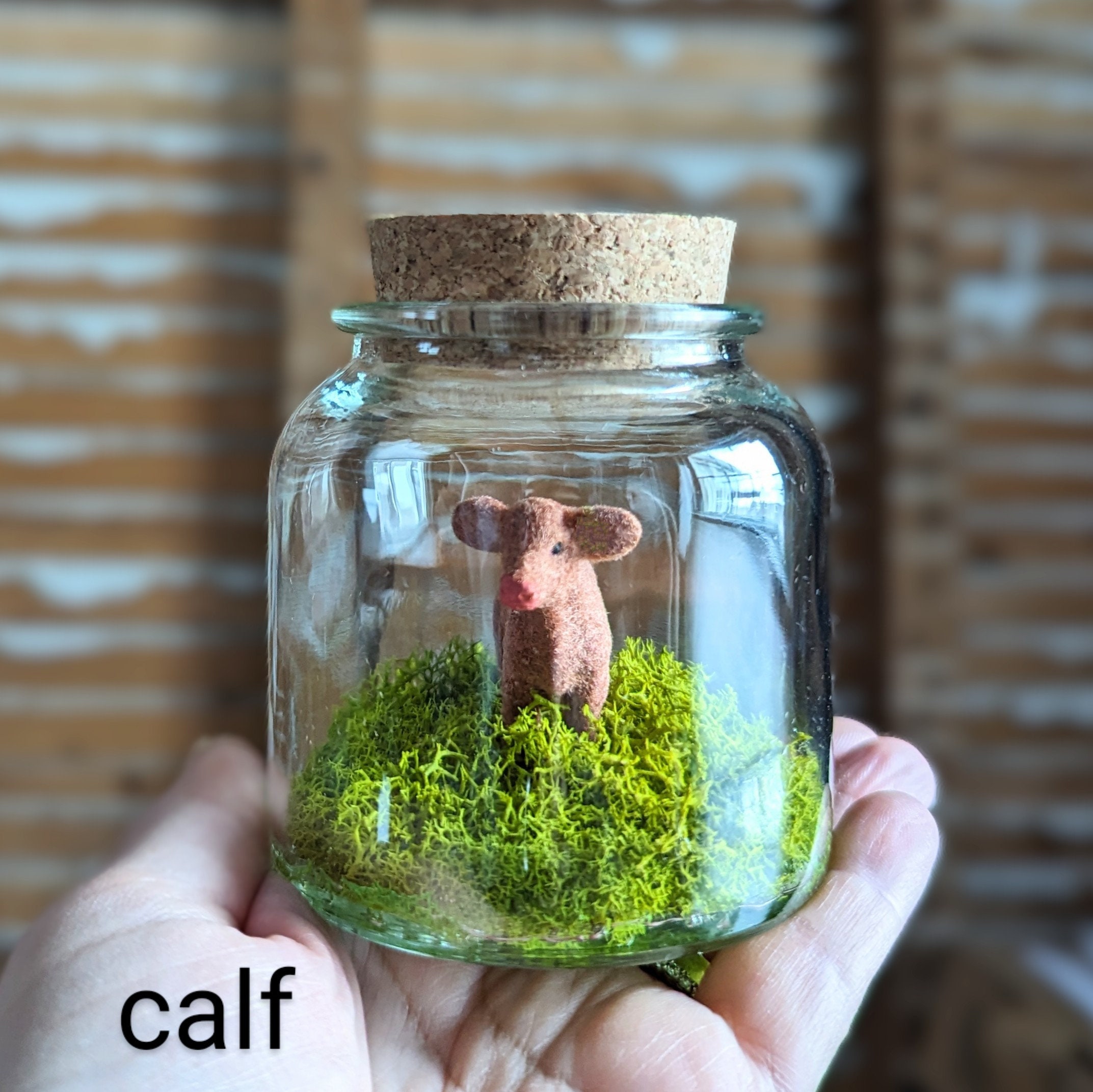 Miniature Highland Cow Terrarium by Sbmathieu - Etsy