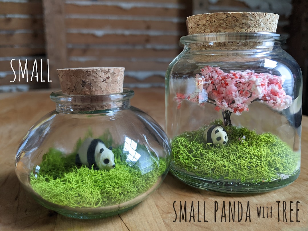 Miniature Giant Panda Terrarium by Sbmathieu - Etsy
