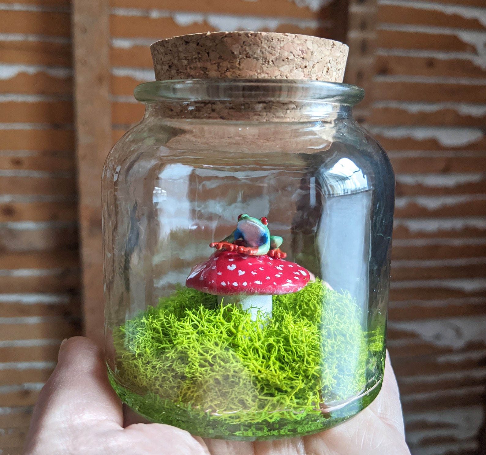 Miniature Red Eyed Tree Frog Terrariums by Sbmathieu - Etsy