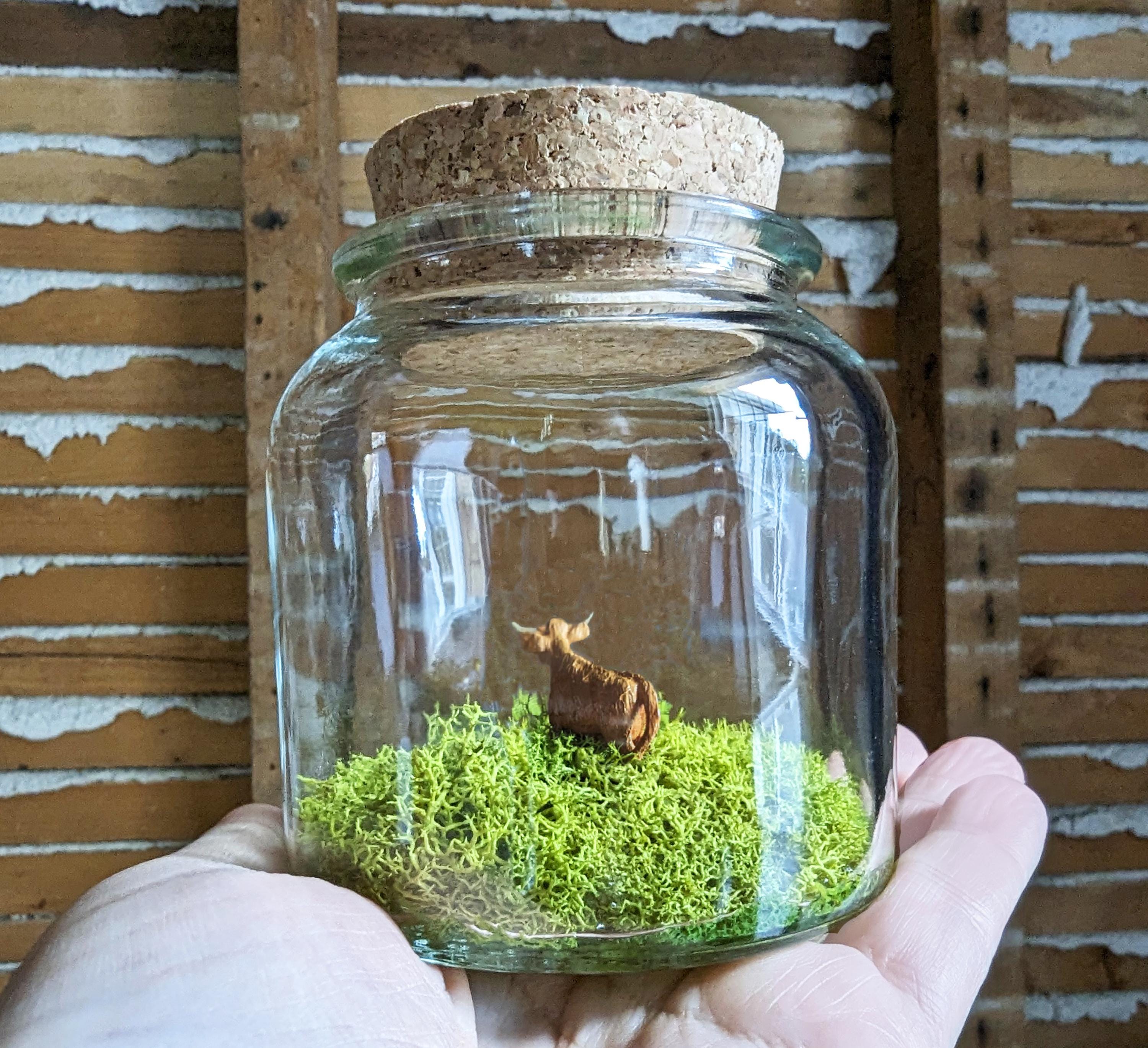 Miniature Highland Cow Terrarium by Sbmathieu - Etsy