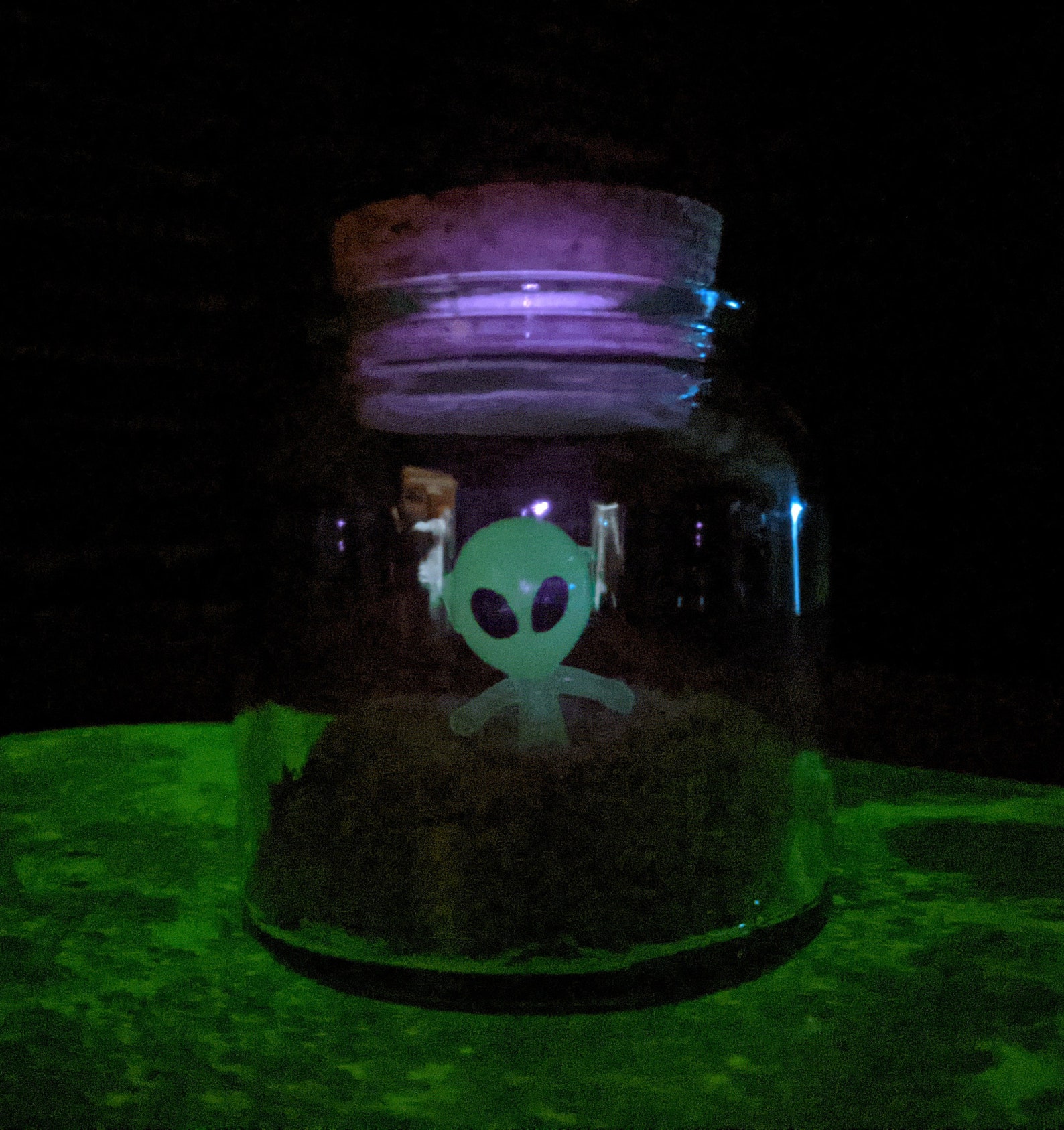 Miniature Alien Terrarium by Sbmathieu - Etsy