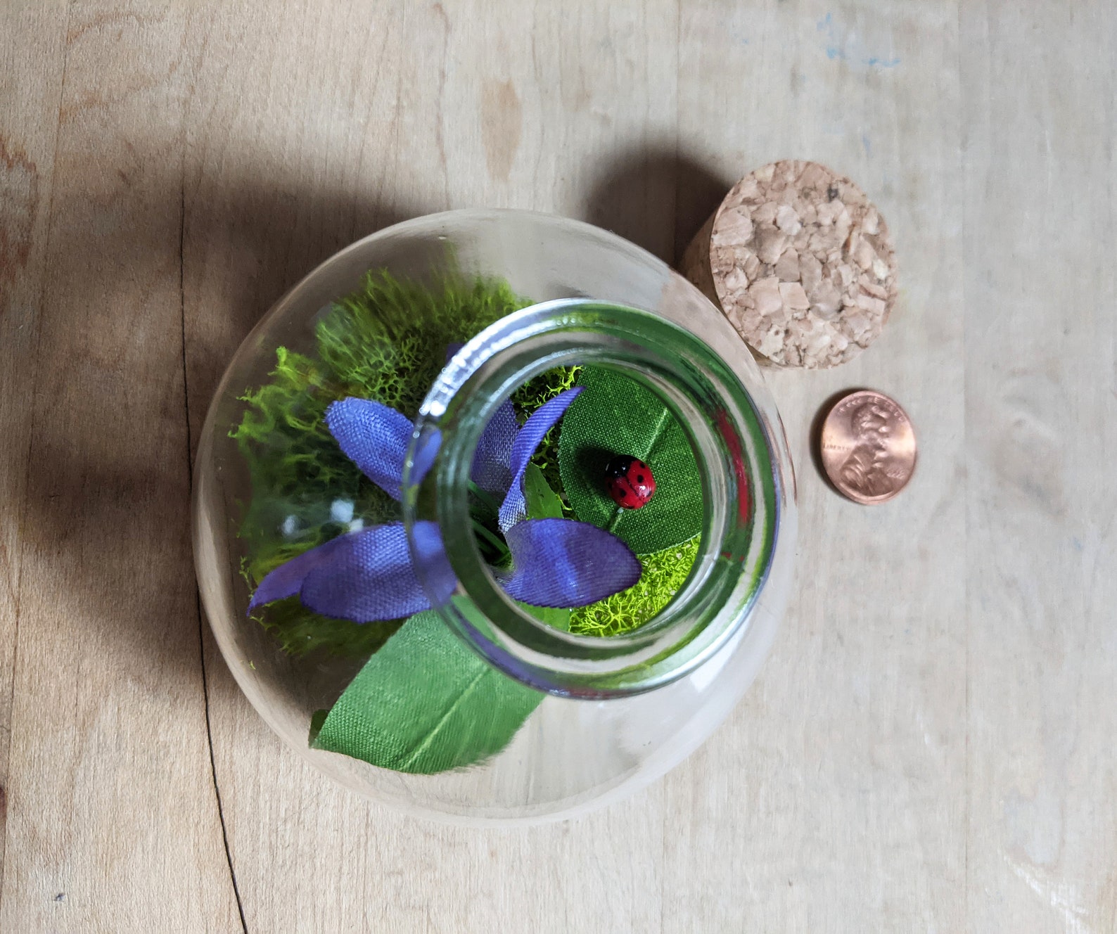 Miniature Ladybug Terrarium by Sbmathieu | Etsy