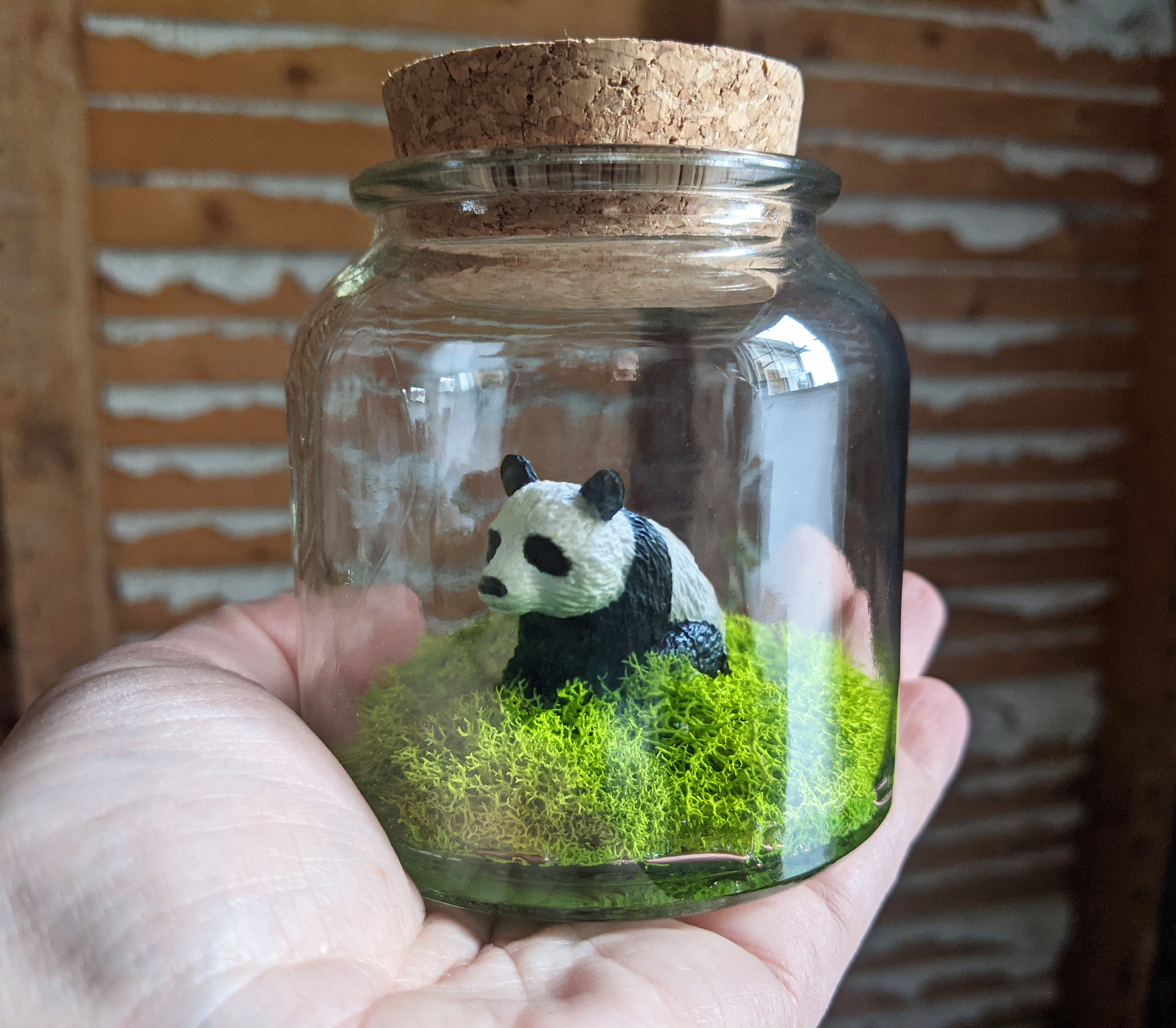 Tare Panda In Jar