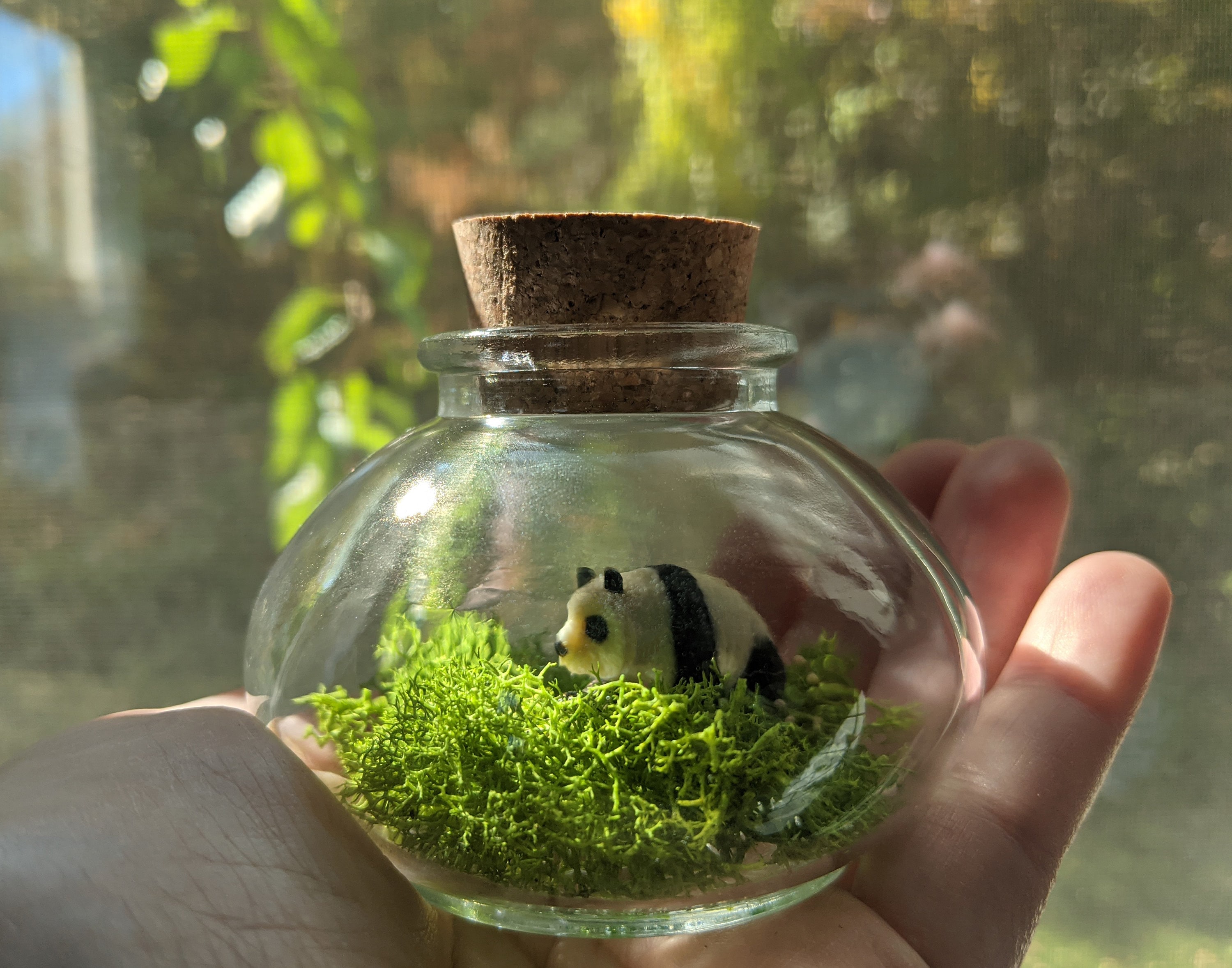 Miniature Giant Panda Terrarium by Sbmathieu | Etsy
