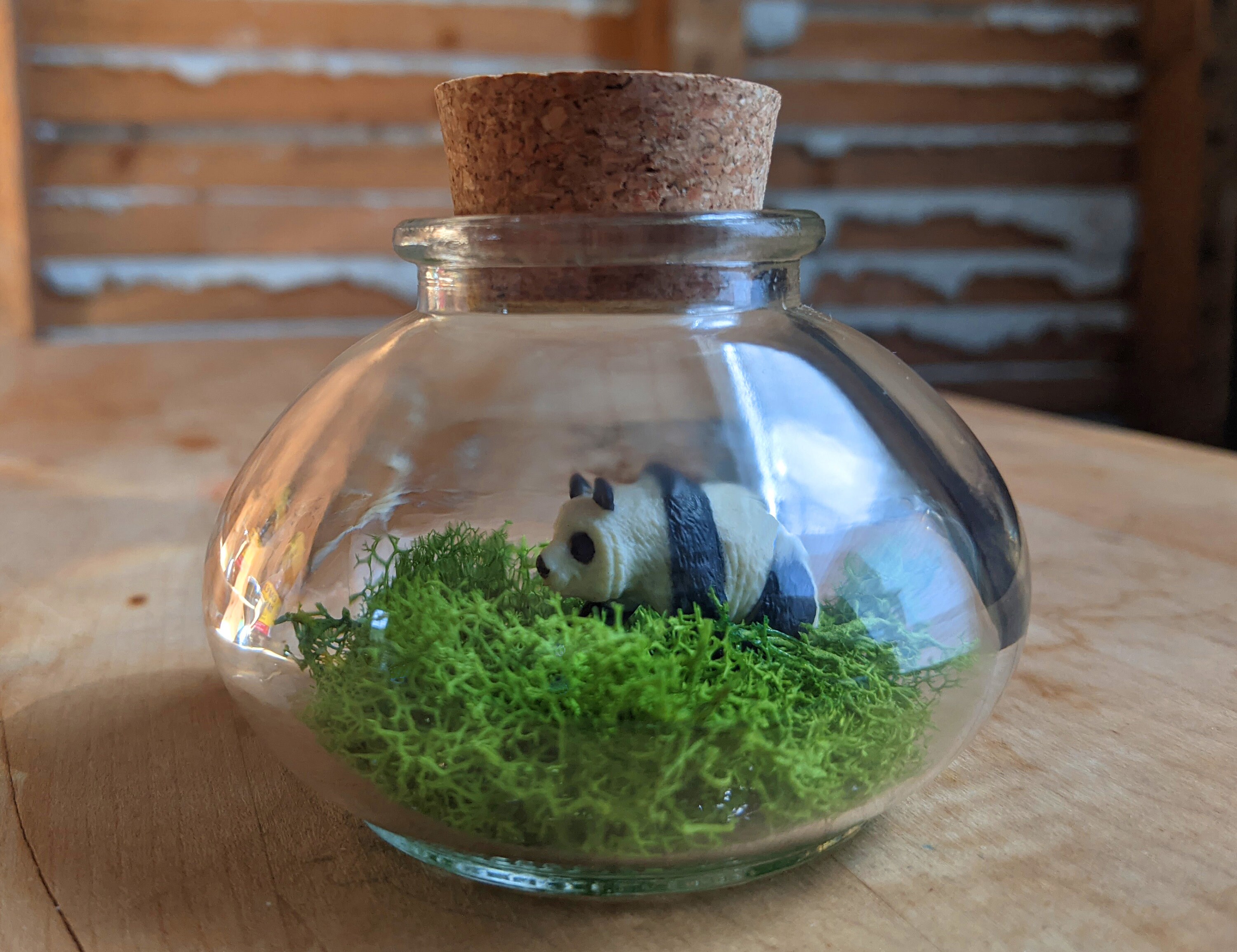 Miniature Giant Panda Terrarium by Sbmathieu | Etsy