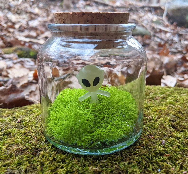 Miniature Alien Terrarium by Sbmathieu - Etsy