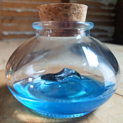 Miniature Ladybug Terrarium by Sbmathieu - Etsy