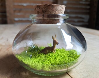 Miniature Ladybug Terrarium by Sbmathieu | Etsy