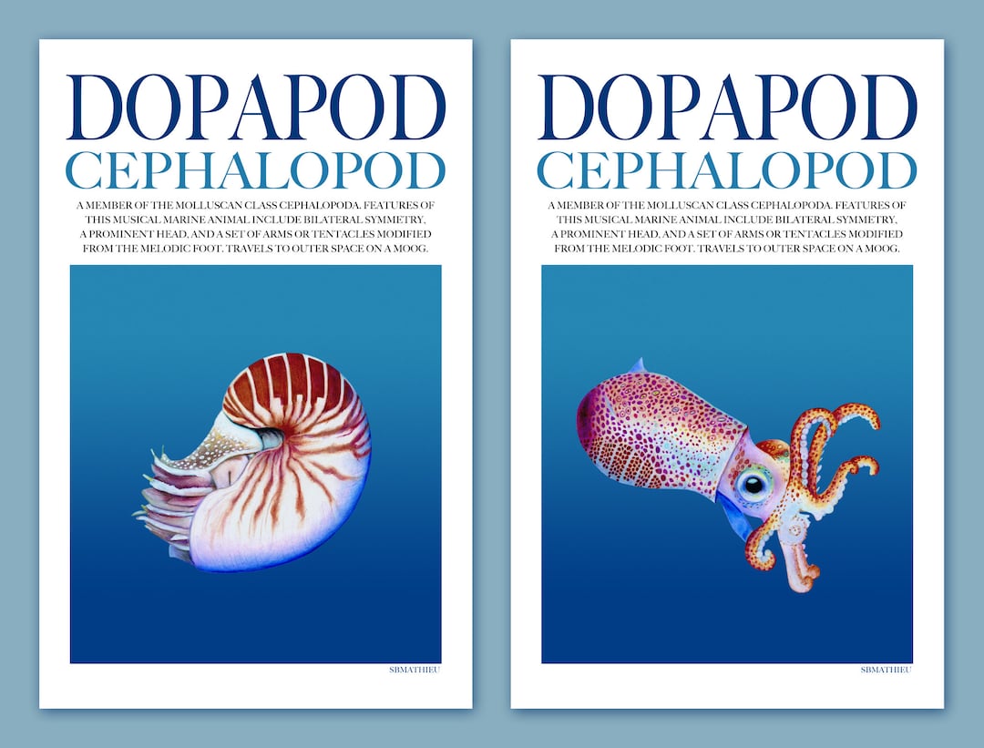 Dopapod Cephalopods 11 X 17 Poster, Nautilus Sticker, and Wild Things ...