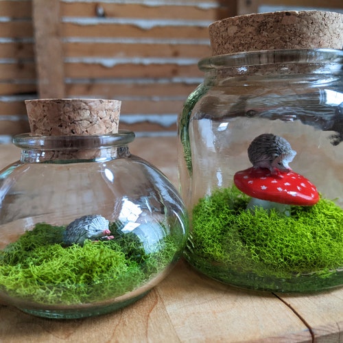 Miniature Ladybug Terrarium by Sbmathieu - Etsy