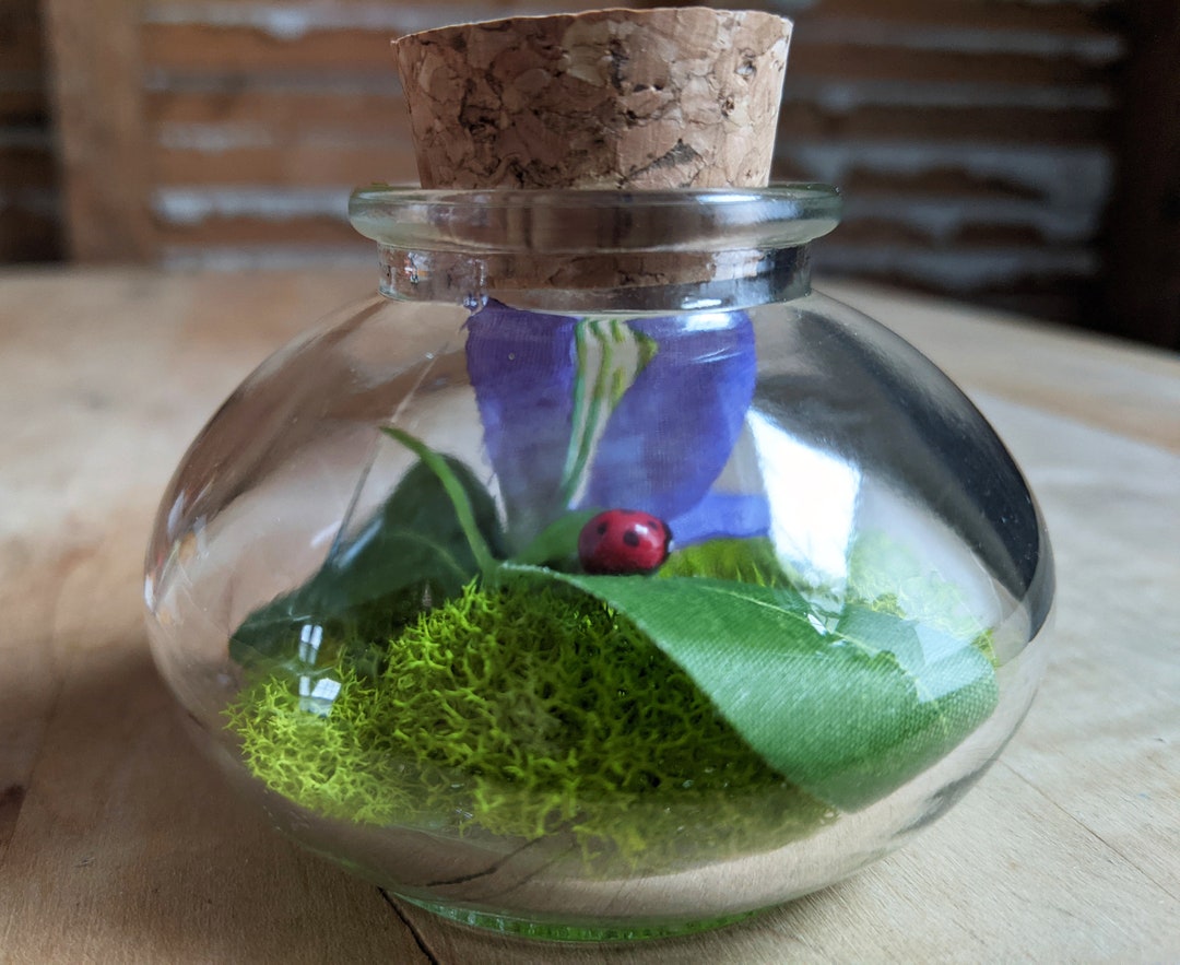 Miniature Ladybug Terrarium by Sbmathieu - Etsy