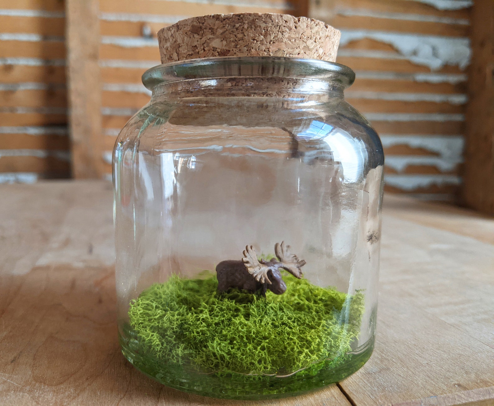 Miniature Moose Terrarium by Sbmathieu - Etsy
